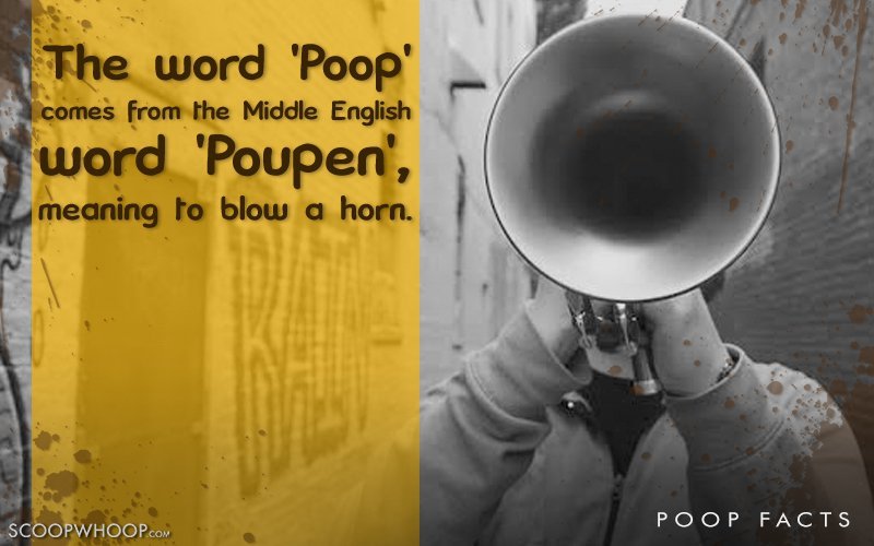 16 Interesting Things You Never Knew About Poop - ScoopWhoop