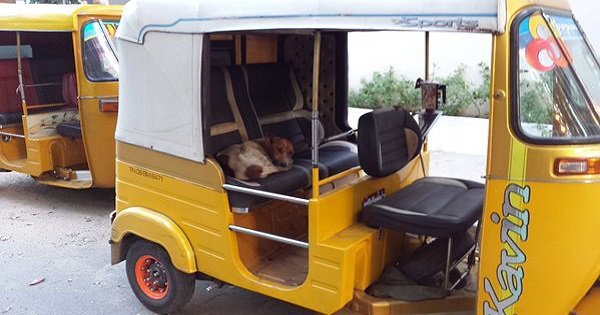 This Chennai Auto Rickshaw Driver Mortgaged His Rickshaw To Save A ...