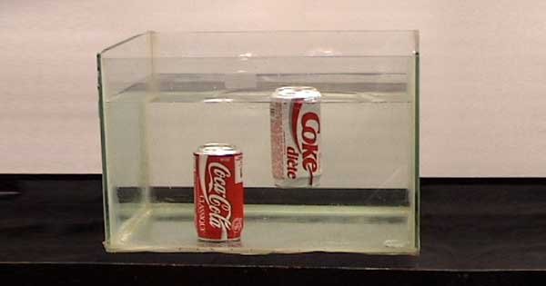 Did You Know That A Can Of Diet Coke Floats In Water But Regular Coke Sinks? Here Is Why ...