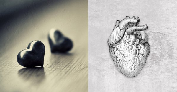 Ever Wondered Why The Hearts We Draw Look Nothing Like The Shape Of ...