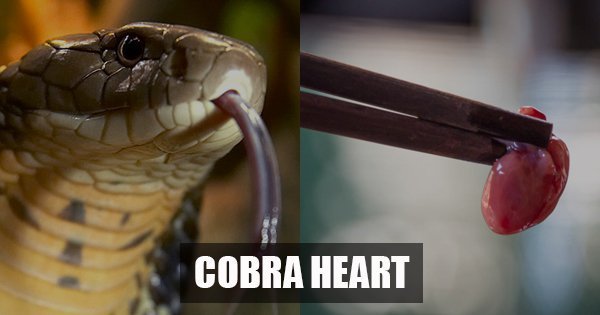 Believe It Or Not People In East Asia Actually Eat These Bizarre Things ...