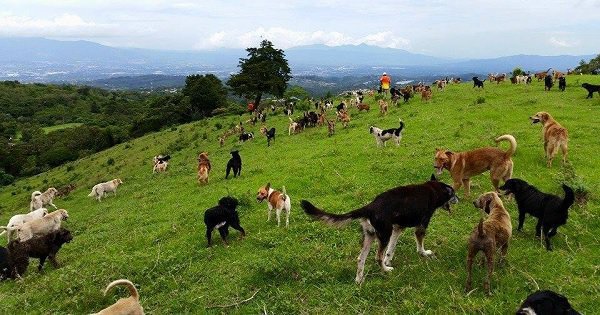 This Beautiful Sanctuary In Costa Rica Is The Best Place In The World ...