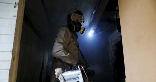 Did You Know That The Zika Virus Was First Discovered Nearly 70 Years Ago?