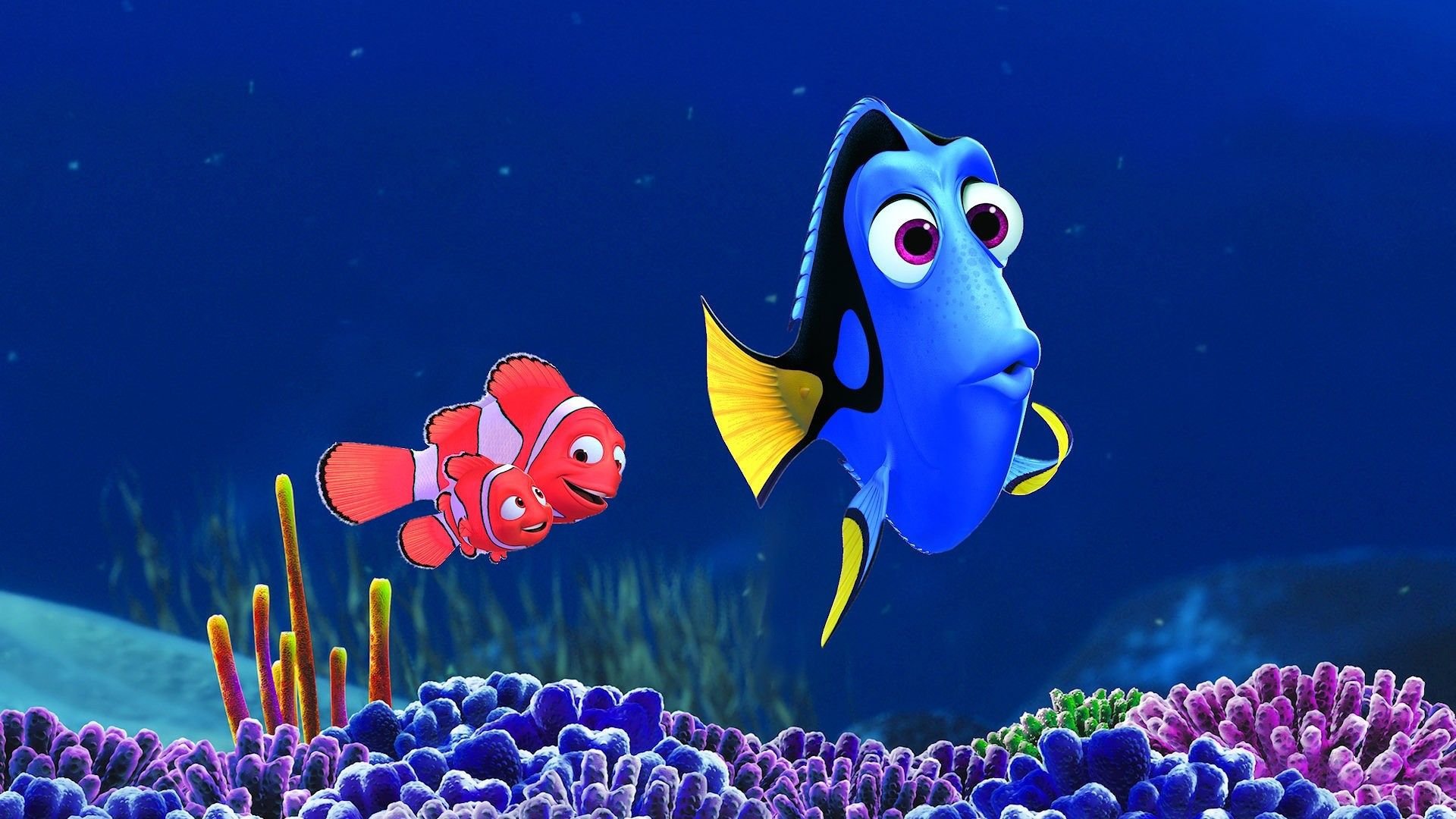 The Trailer Of Finding Dory Is Here & It’s Taking Us Back To Our ...