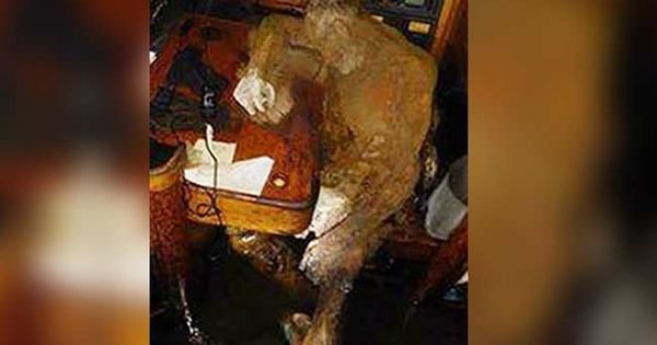 Mummified Body Of German Sailor Found On Yacht A Week After His Death