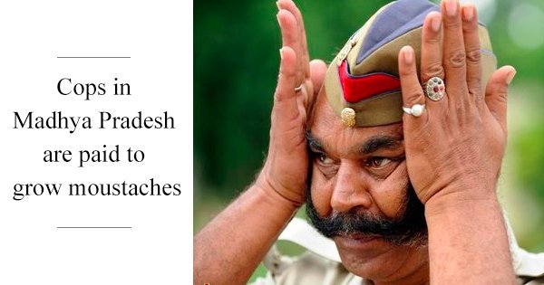 20 Fascinating Facts About Moustaches That Make Them Cooler Than They ...