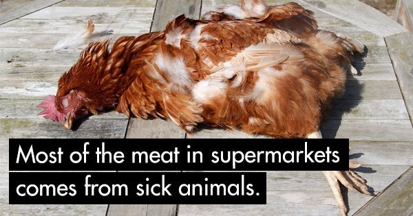 15 Shocking Facts About The Food You Eat Everyday That’ll Instantly ...