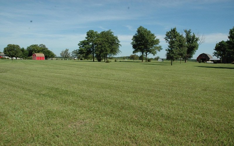 8 Free Land In The World | 8 Places Giving Free Land Around The World