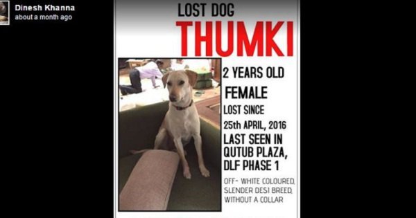 Here’s How Facebook Helped A Family Find Their Lost Pet Dog