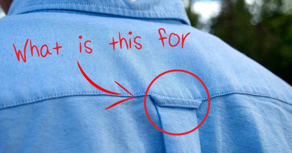 Ever Noticed The Small Loop At The Back Of Your Shirt? It’s Not For ...
