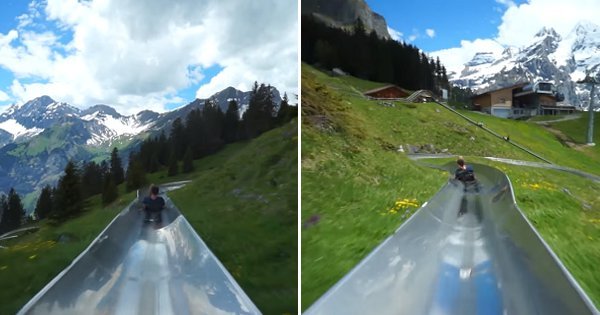 This Exhilarating Mountain-Coaster Ride Through The Swiss Alps Is Just ...