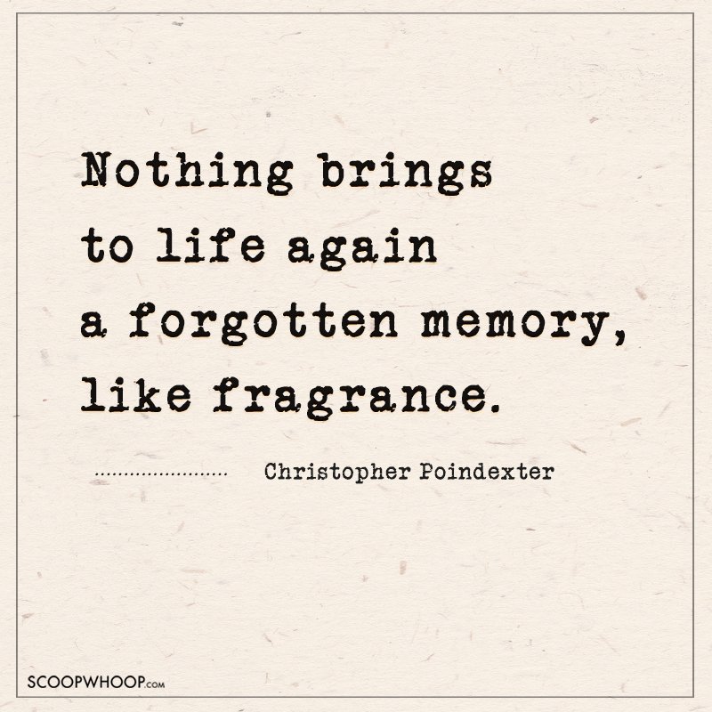 23 Christopher Poindexter Quotes That Explain How Life Is A Beautiful ...