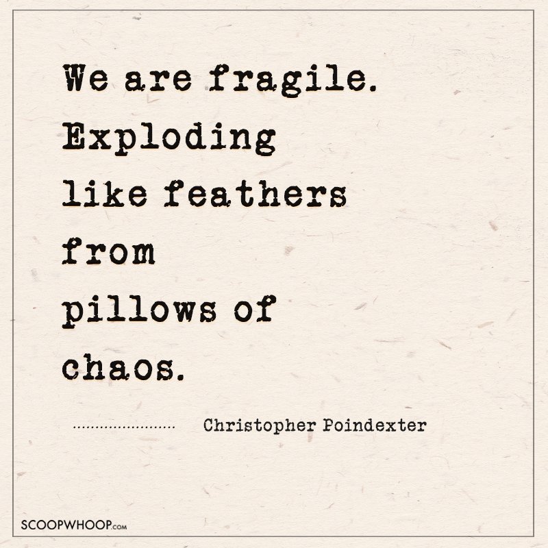 23 Christopher Poindexter Quotes That Explain How Life Is A Beautiful ...