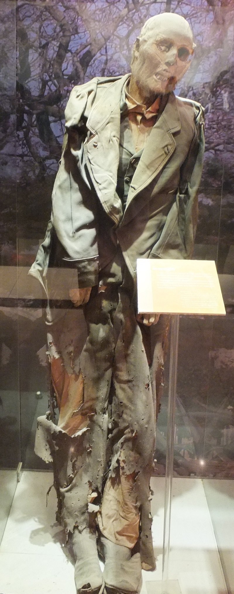 This Museum Displays Corpses Of People Who Might Have Been Buried Alive ...