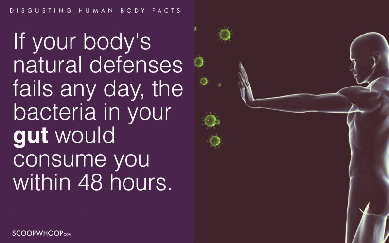 12 Weird & Disgusting Facts About Humans That Will Totally Change The ...
