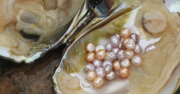 It’s Shocking To Know Why Cuban Men Have Started Stitching Pearls ...
