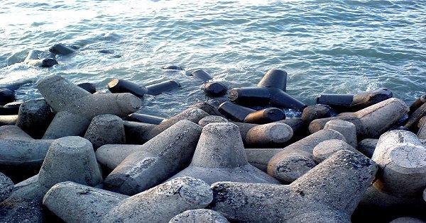 Ever Wondered Why The Rocks Alongside Marine Drive Are Shaped Like That ...