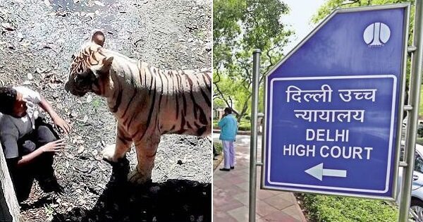Delhi HC Orders Zoo To Pay Compensation To Kin Of Youth Who Died After ...