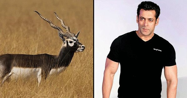 Sorry Bhai! The Suicide Letter Of The Black Buck That Framed Salman ...