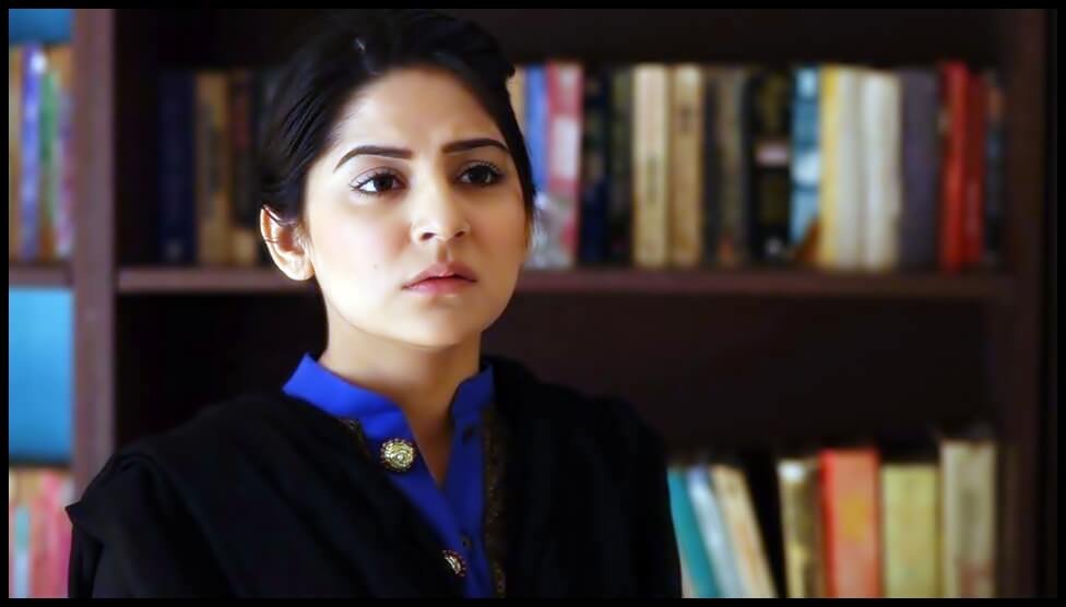 Top 20 Best Pakistani Dramas To Watch | Best Pakistani Serials List Of ...