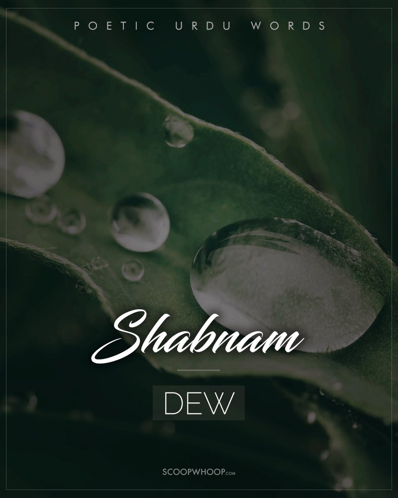 20 Beautiful Urdu Words With Meaning | 20 Urdu Words For Shayari