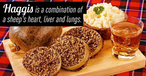 10 Disgusting Delicacies From Around The World That Are Sure To Gross ...