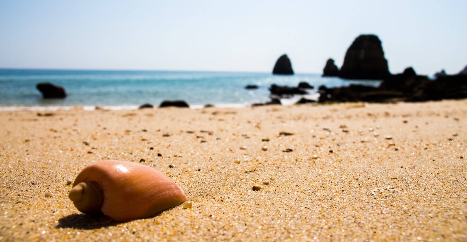 Do You Know There’s A Legit Story Behind The Tongue Twister ‘She Sells ...