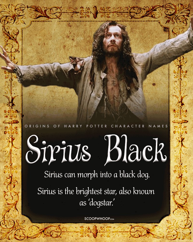 Here’s How The Iconic Characters From Harry Potter Got Their Names