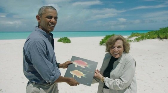 This Newly Discovered Fish Species In Hawaii Will Be Named After Barack ...