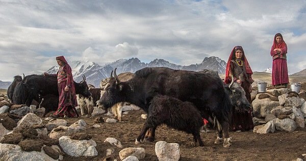 There’s An Afghan Tribe So Remote, They’ve No Idea About The Taliban Or ...