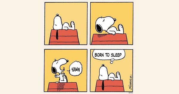 16 ‘Peanuts’ Comics That We All Found A 100% Relatable To Ourselves