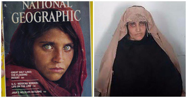 Pak Court Rejects Bail Plea Of Sharbat Gula, Nat Geo’s Famous ‘Afghan ...