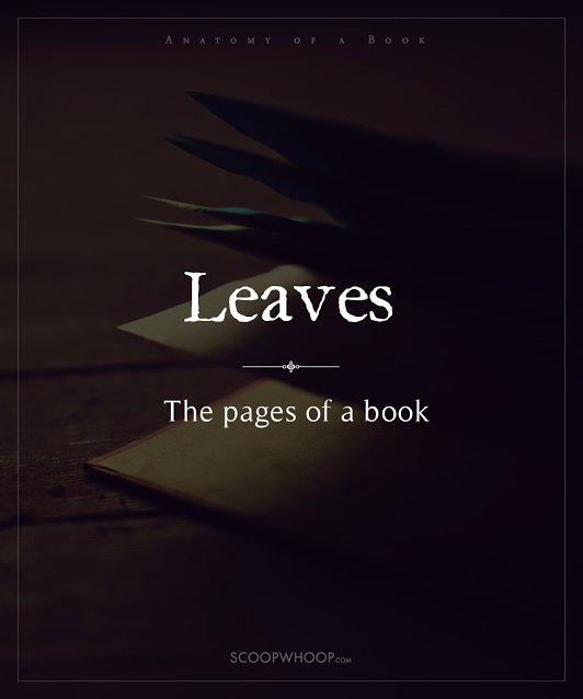 Here Are 15 Terms Describing The Anatomy Of A Book. We Bet You Didn’t ...