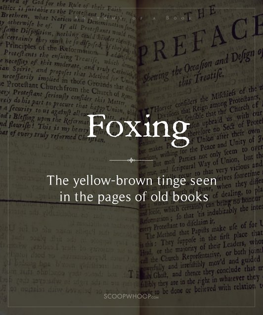Here Are 15 Terms Describing The Anatomy Of A Book. We Bet You Didn’t ...