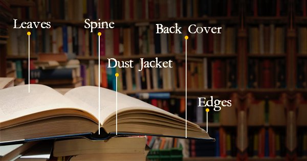 Here Are 15 Terms Describing The Anatomy Of A Book. We Bet You Didn’t ...