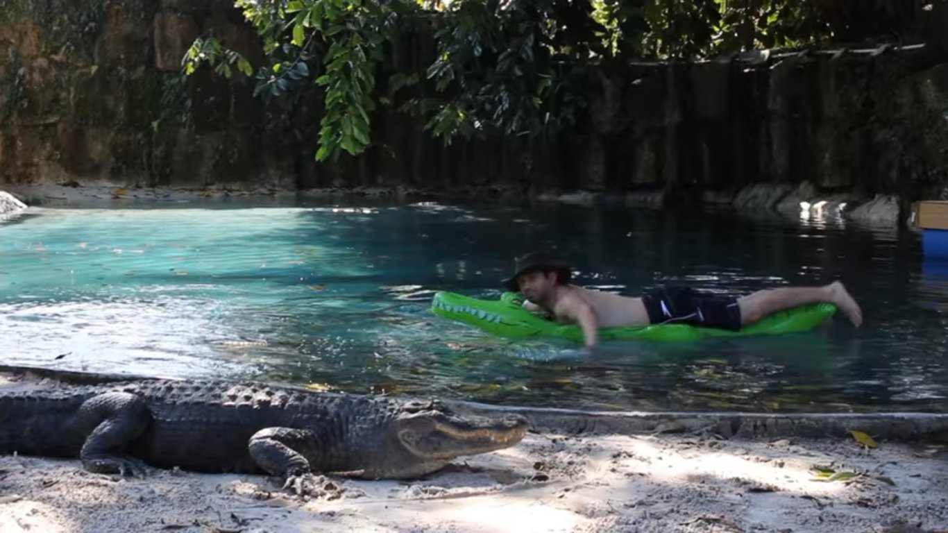 From Swimming With Anacondas To Kissing Crocodiles, This Comedian Risks His Life Just For Laughs ...
