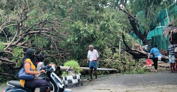 Here’s What Chennai Residents Say As The Cyclone-Hit City Is Limping ...
