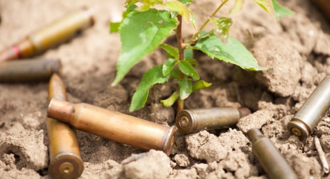 The US Army Is Planning To Use Biodegradable Bullets That Sprout Plants!