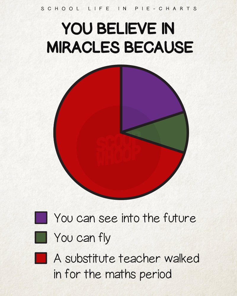 15 Pie-Charts That Perfectly Sum Up The School Life We’ve All Had ...