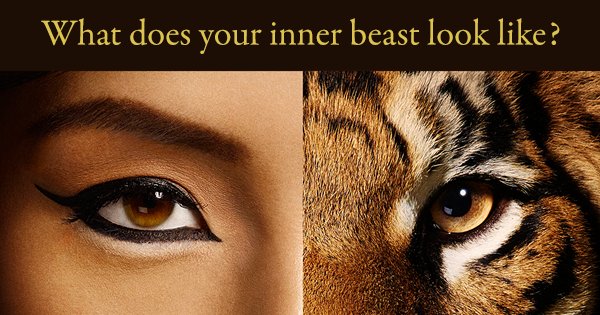 Based On These Everyday Choices, Can We Guess Which Animal Best ...