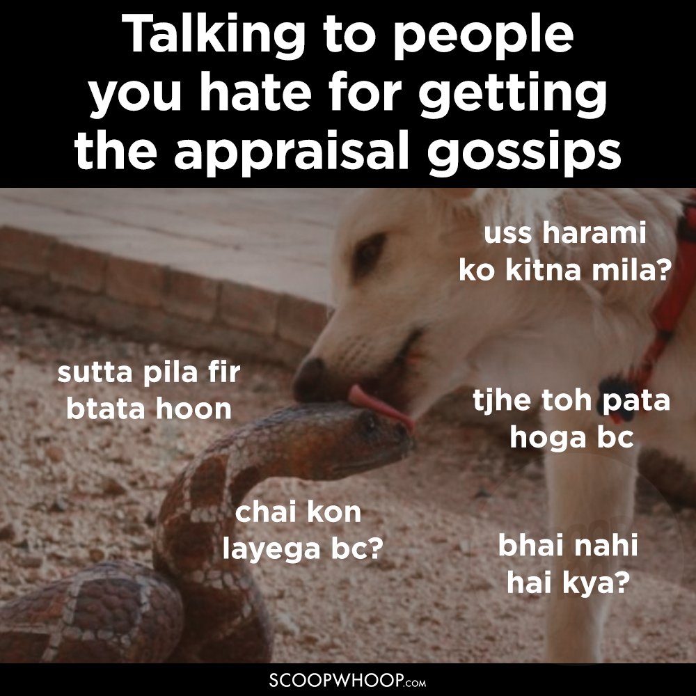 These Memes About Appraisals Hopefully Won’t Disappoint You As Much As ...