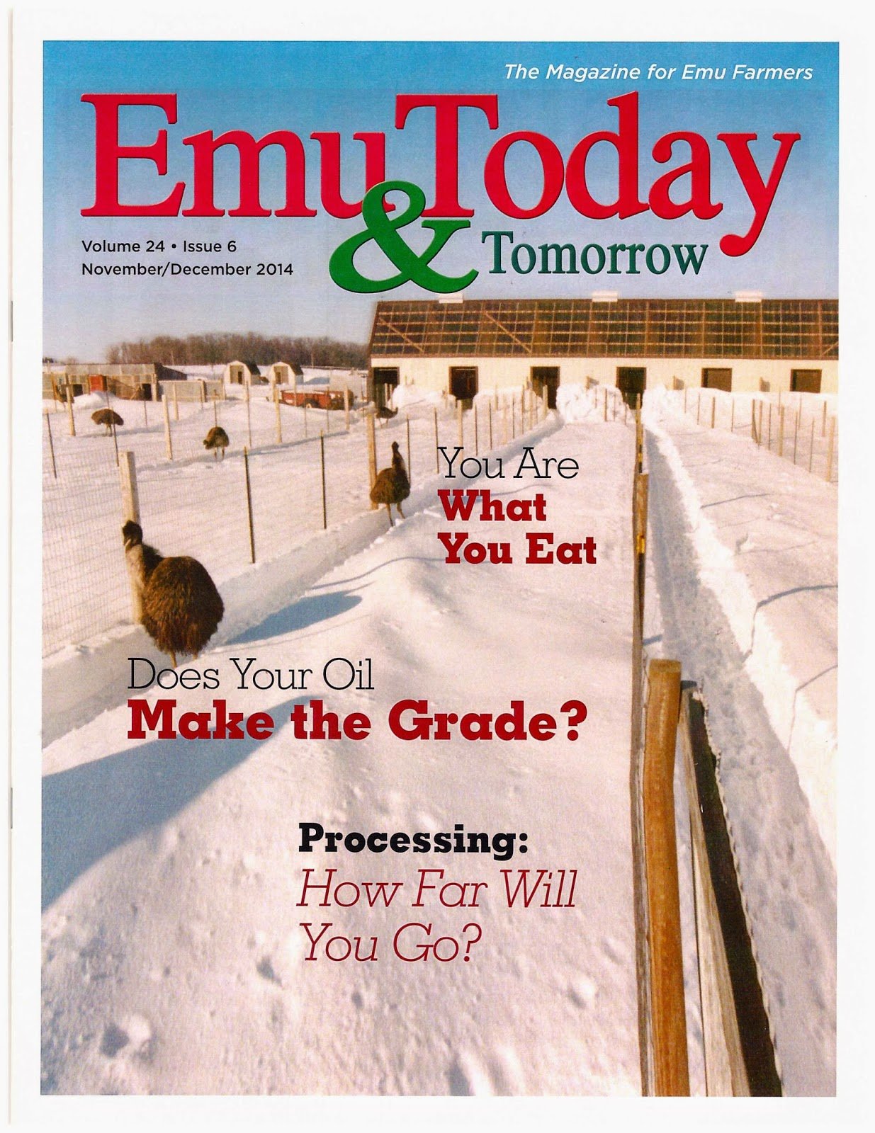 18 Of The World’s Weirdest Magazines That You Will Not Believe Actually ...