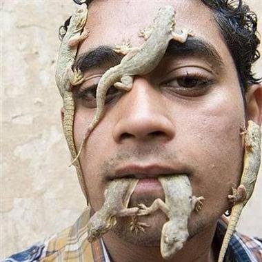 Am I The Only One Who Finds Lizards More Scary Than Ghosts?