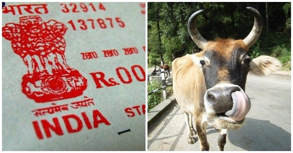 In Rajasthan, People Renting Homes Have To Pay For Cow Protection With ...