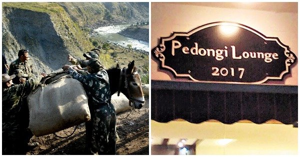 Army names a mess lounge in Delhi after its longest-serving mule ‘Pedongi’