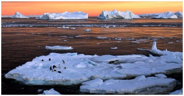 A Massive Iceberg Four Times The Size Of London Has Broken Away From ...