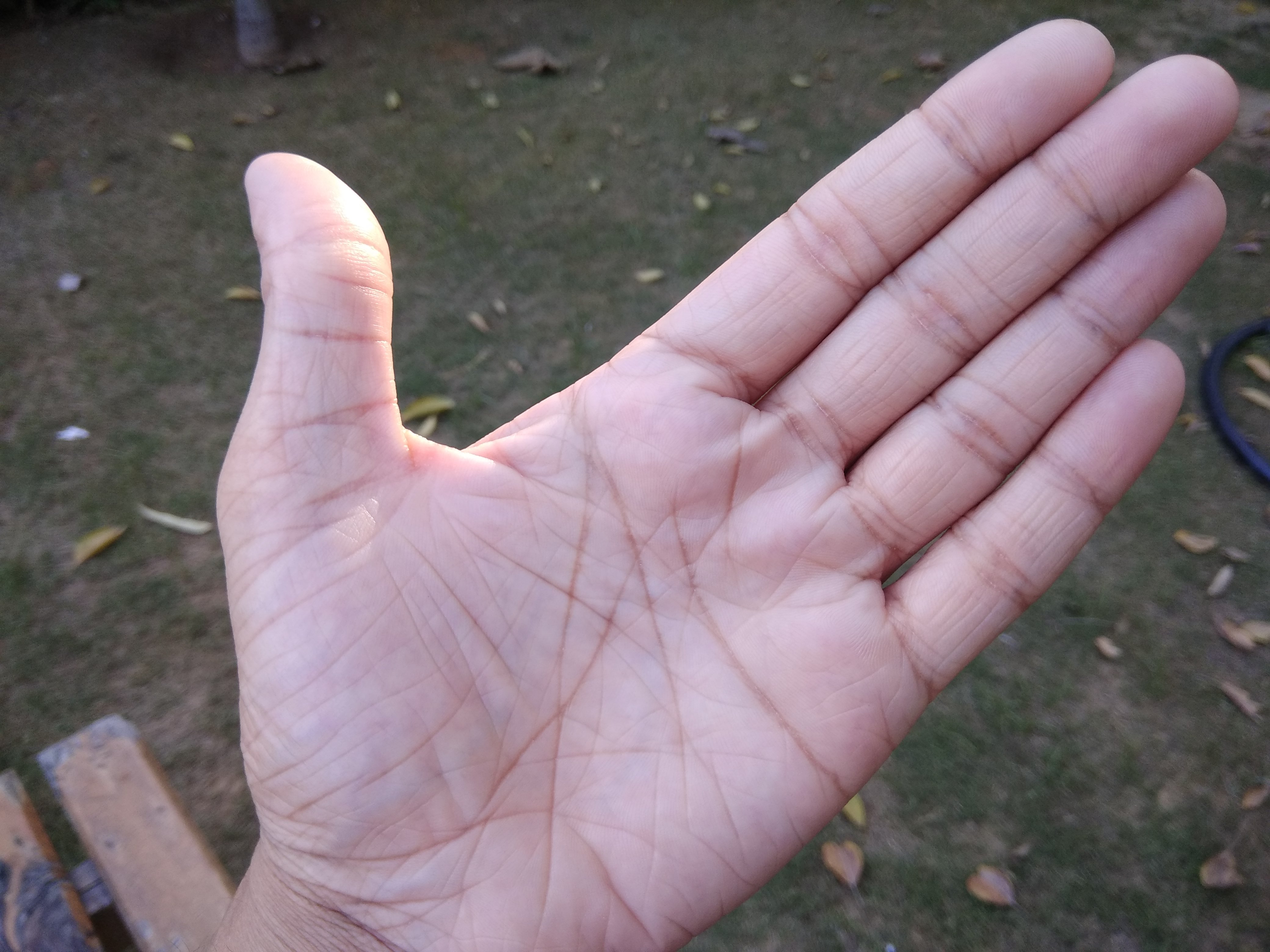 X On Palm Spiritual Meaning X Sign On Both Palm Spiritual Meaning X On Palm Spiritual Meaning X Sign On Both Palm Spiritual Meaning