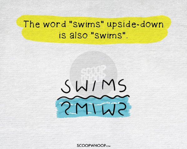 25 Random Thoughts | 25 Silly Thoughts When Bored