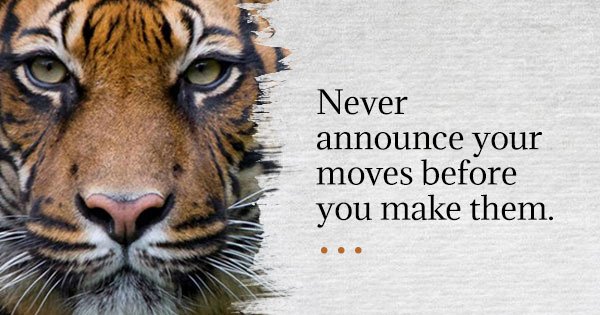 17 Important Life Lessons We Can All Learn From Animals