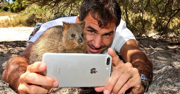 It’s Impossible To Look At Roger Federer’s Selfie With The World’s ...